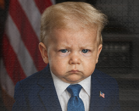 Some Assembly Required – Baby Politician Puzzle Collection – Diaper ...